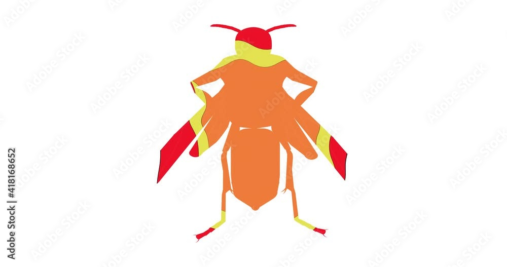 Animated preloader with hornet insects Animated video of the hornet ...