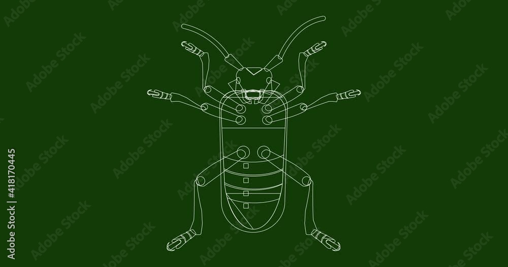 Linear preloader with insect beetle barbel, drawn with white lines on a ...