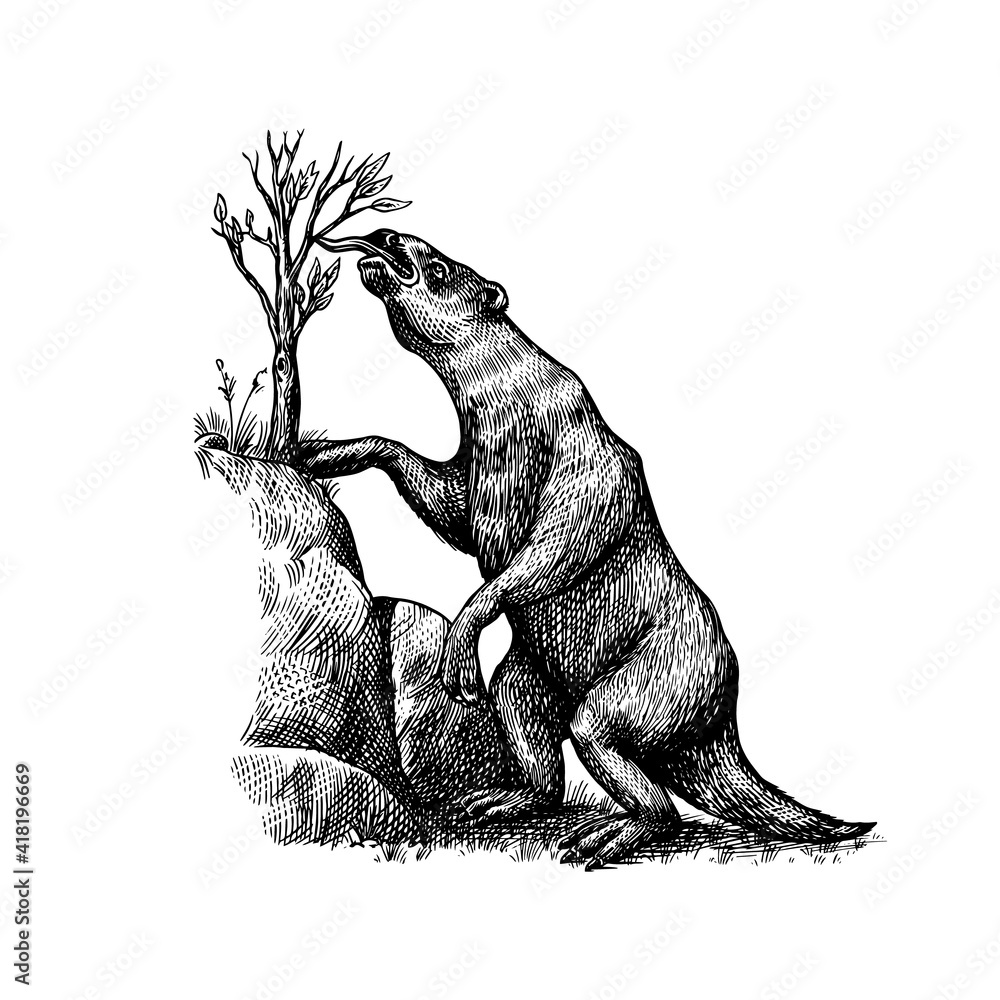Ground sloth or Megatheriidae. Prehistoric mammals. Extinct animal ...