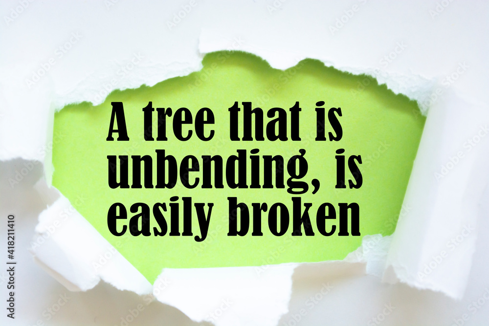 Inspirational motivational quote. A tree that is unbending, is easily ...