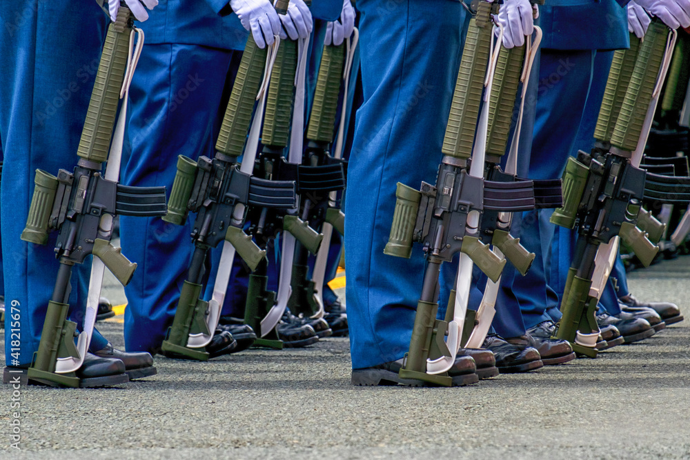 Soldiers standing at attention with guns or rifles at their feet. The ...