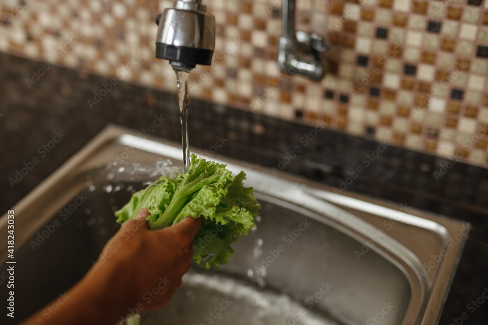 Wash the vegetables in the kitchen. Woman hand wash lettuce salad at ...