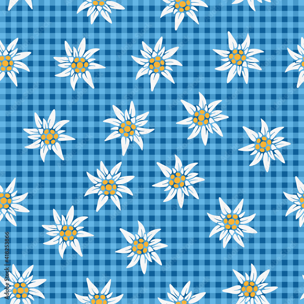 Seamless edelweiss background on a blue checkered background. Beautiful ...