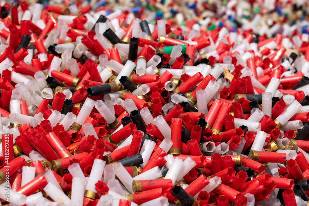 Many shotgun shells of various colors with empty fired cartridges , Can ...