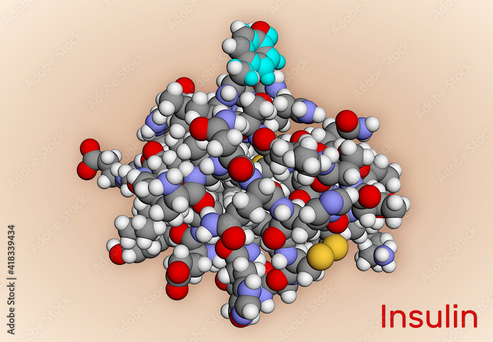 Human Insulin molecule. It is peptide hormone, produced by beta cells ...