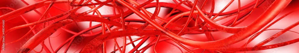 blood vessels, blood arteries, veins and arteries, circulatory system ...