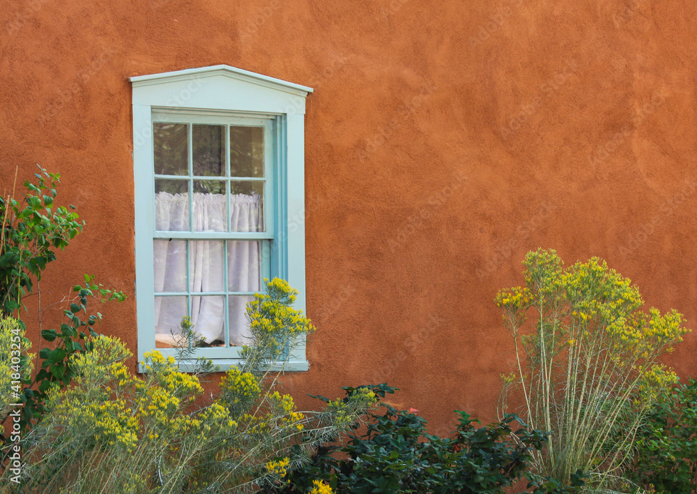 Blue wooden frame window in stucco plaster wall with tall yellow plants ...