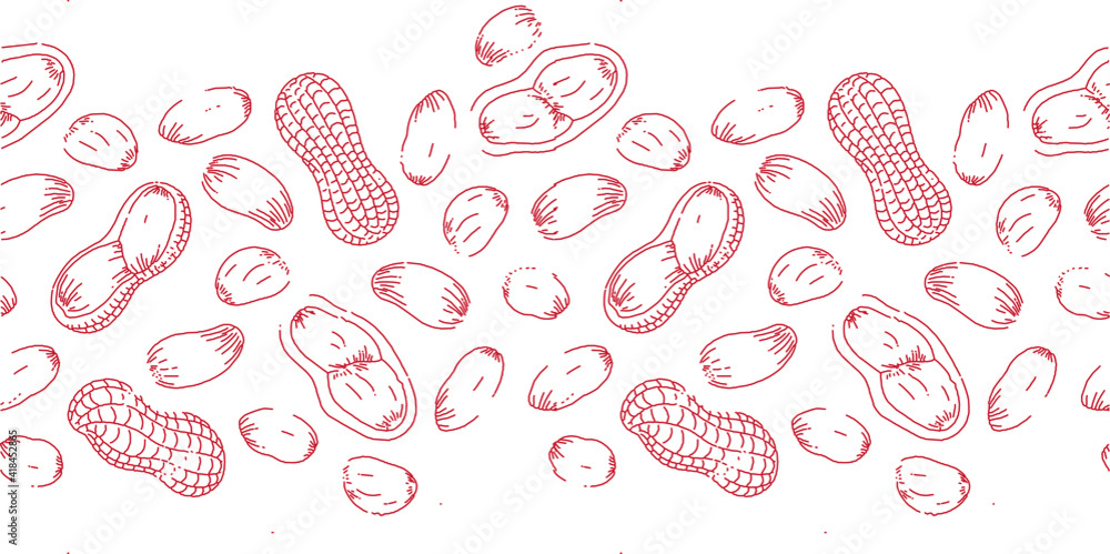 Vetor de Peanuts Drawing, Vector hand drawn Peanut nut for template ...