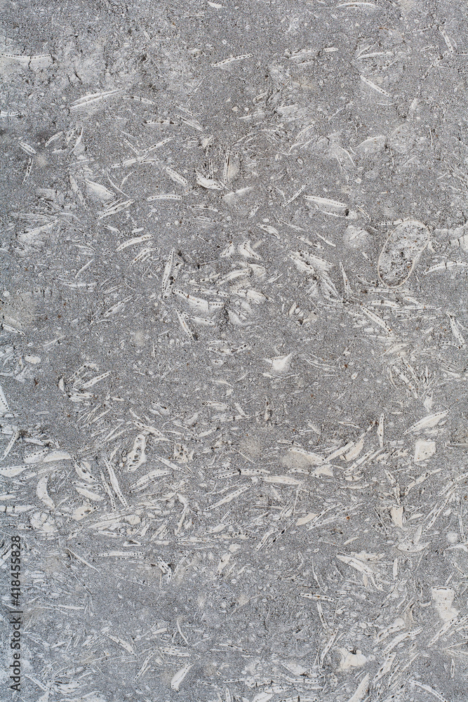 Sedimentary rock, finishing stone for building facades and indoor ...