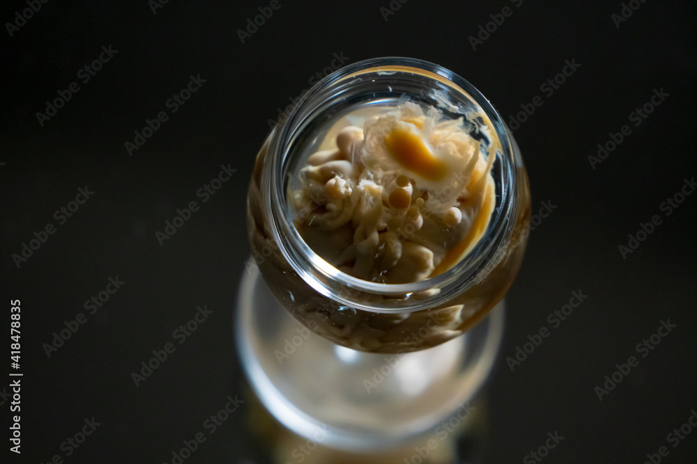 Reverse irish cream monkey brain shot drink in old fashioned elegant ...