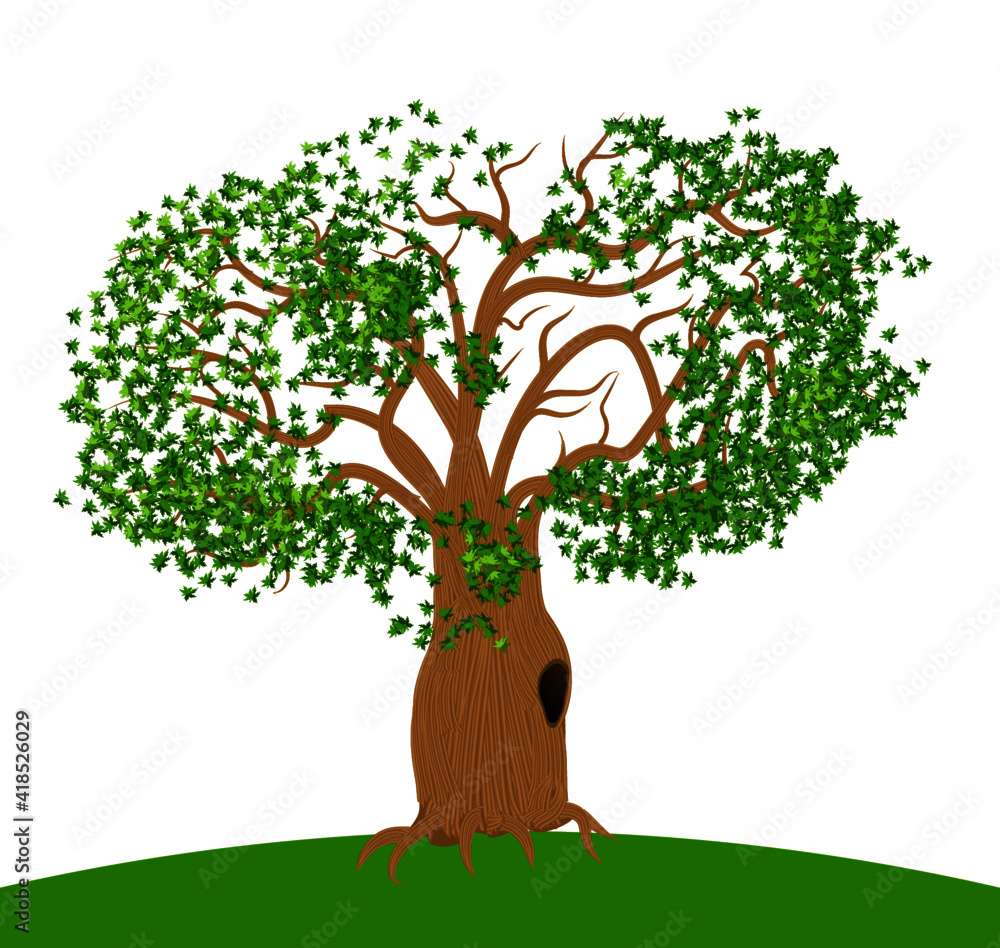 Old tree with a huge hole in its trunk. Vector illustration isolated on ...