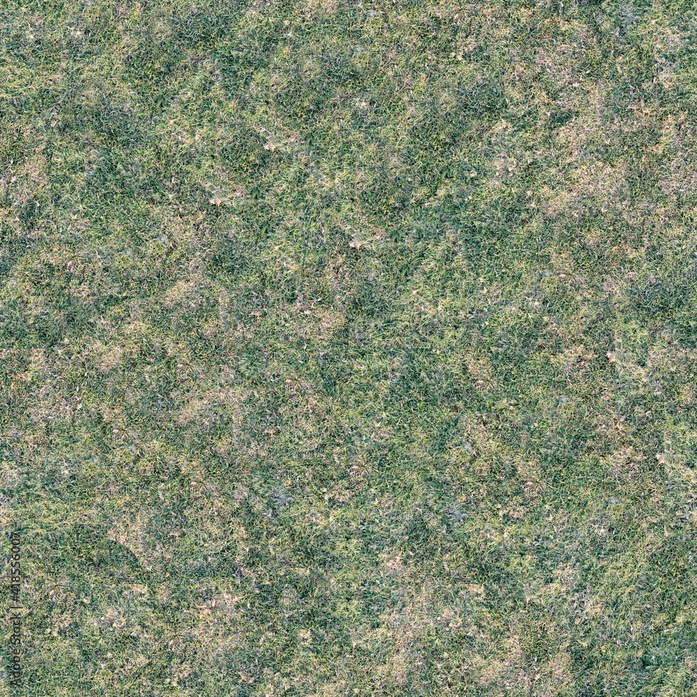 Grass Seamless Texture Material Map For Creating Materials Background Diffuse Texture Or
