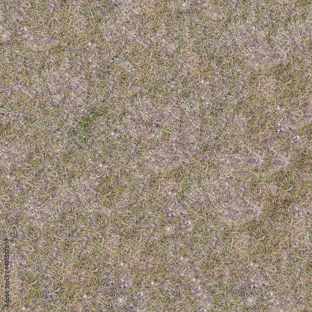 Dry Grass Seamless Texture Material Map for creating materials ...