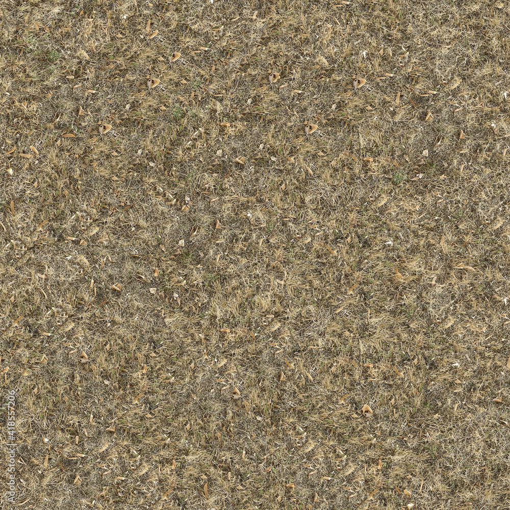 Dry Grass Seamless Texture Material Map for creating materials ...
