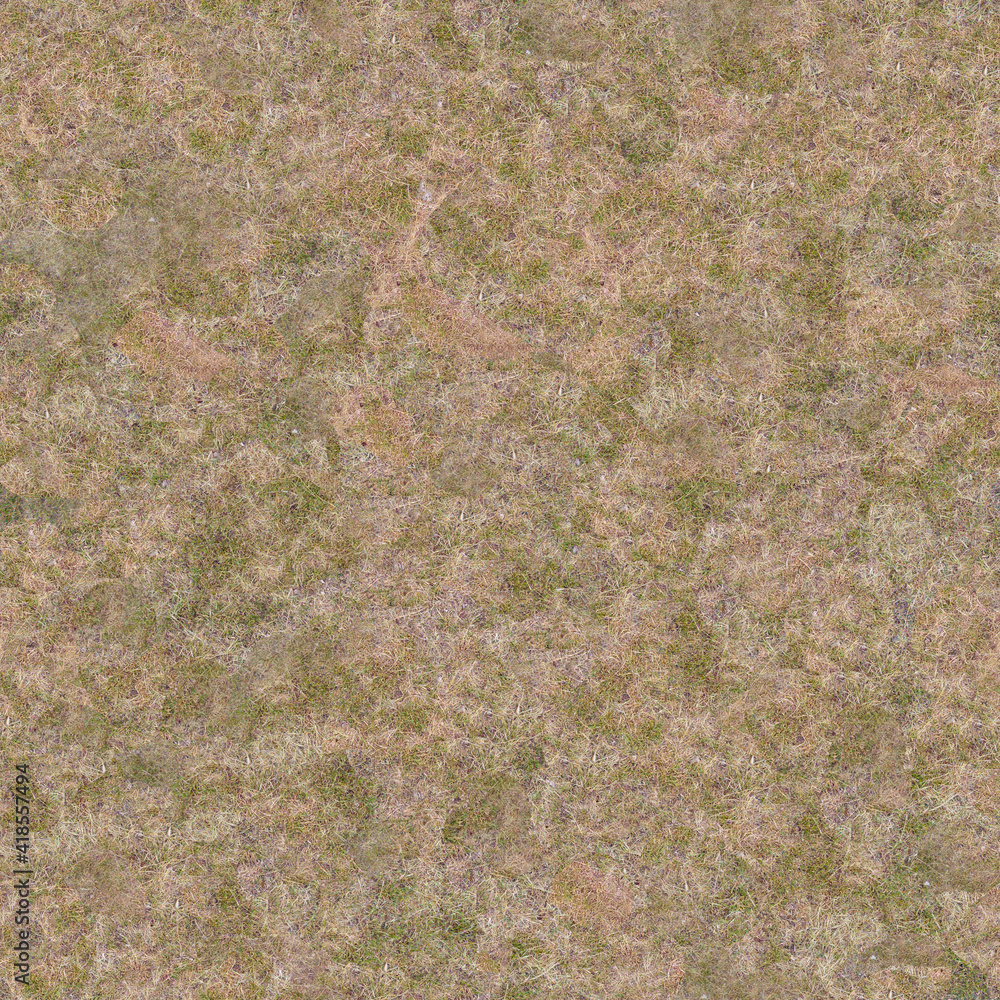 Dry Grass Seamless Texture Material Map for creating materials ...