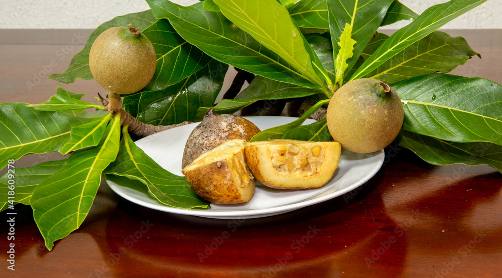 Jenipapo, American Genipa, ripe fruits cut in half showing their ...