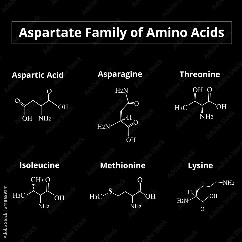 A family of amino acids aspartate. Chemical molecular formulas of amino ...