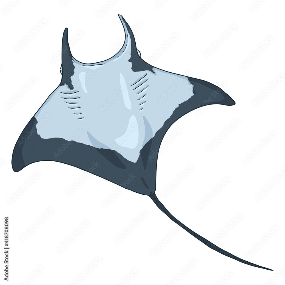 Cartoon Manta Ray. Numb-fish Vector Illustration Stock Vector | Adobe Stock