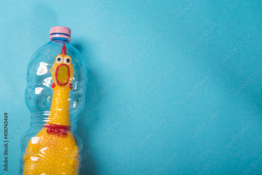 Yellow chicken in a plastic bottle on a blue background.Concept of stop ...