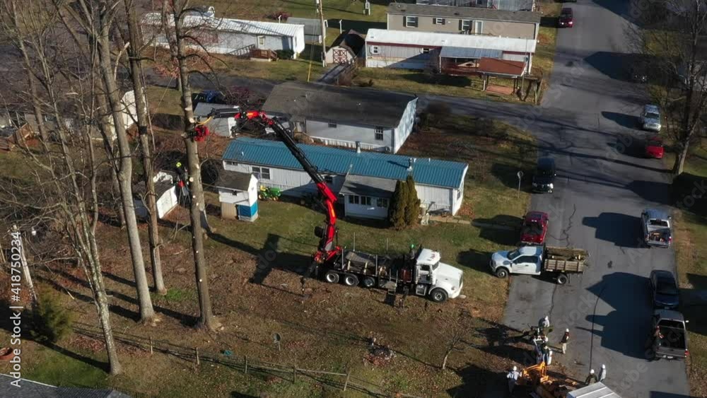 Trees cutting with a person high in the tree and a extended boom ...