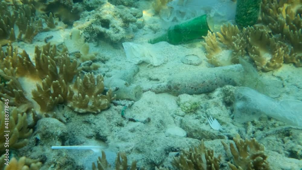 Close-up of debris on the coral seabed. Plastic and other garbage lies ...