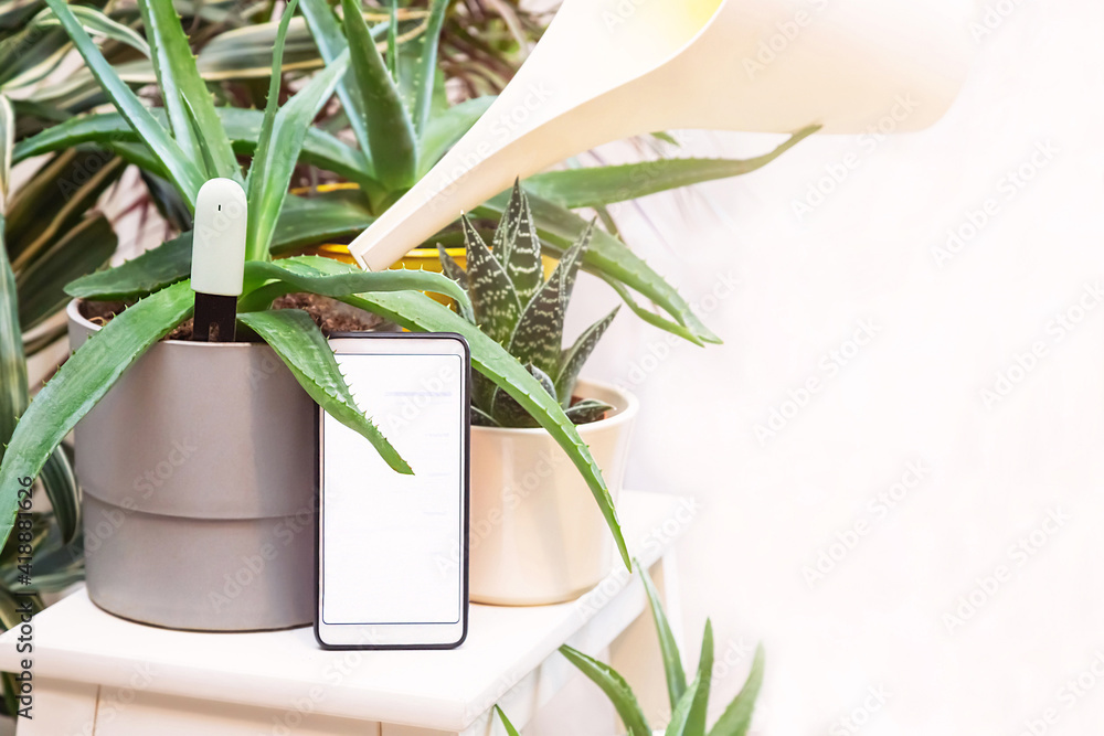 Flower, plant care concept. Watering can and soil, water, sunlight ...