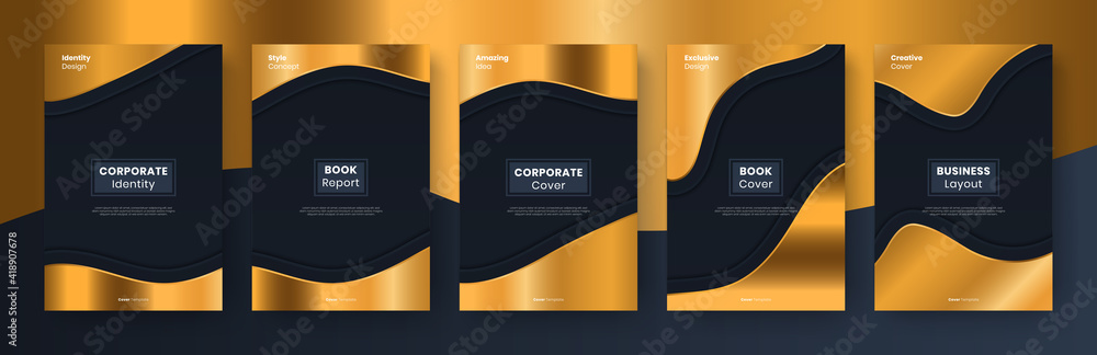 book cover with gold shape Vector layout premium vip style for books ...