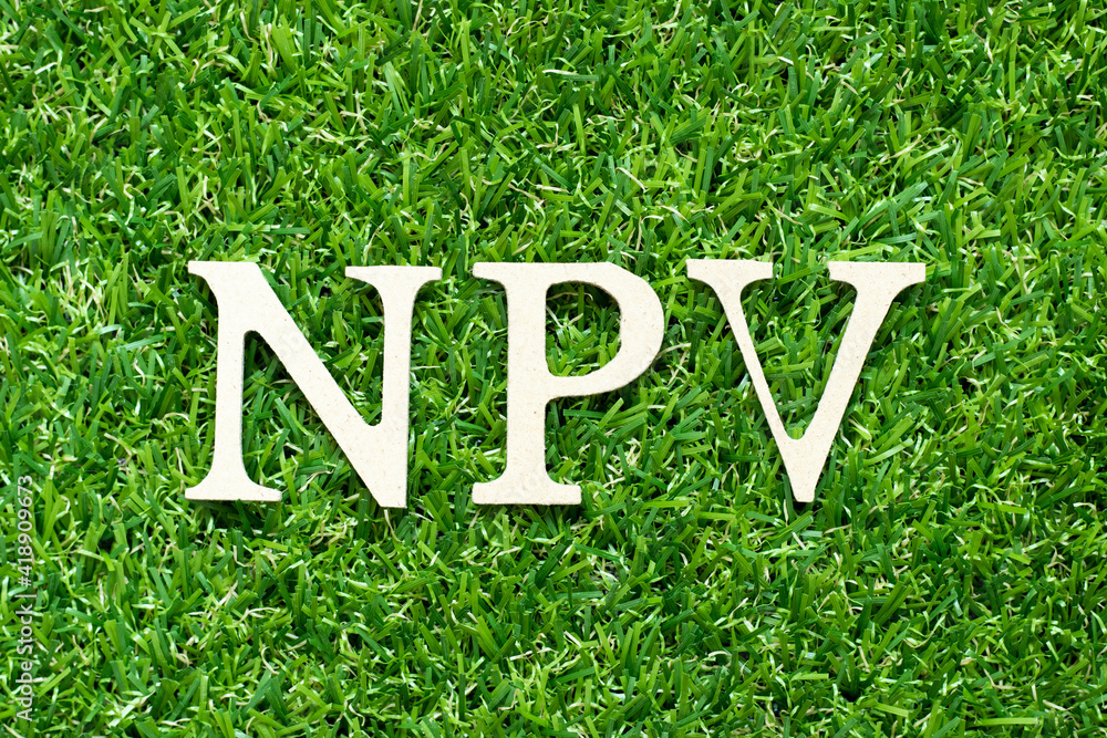 Alphabet letter in word NPV (Abbreviation of net present value) on ...