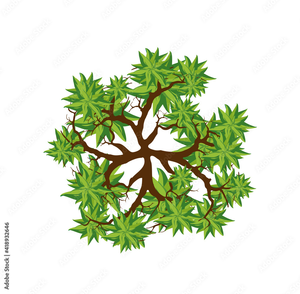 Tree top view. Easy to use in your landscape design projects Stock ...