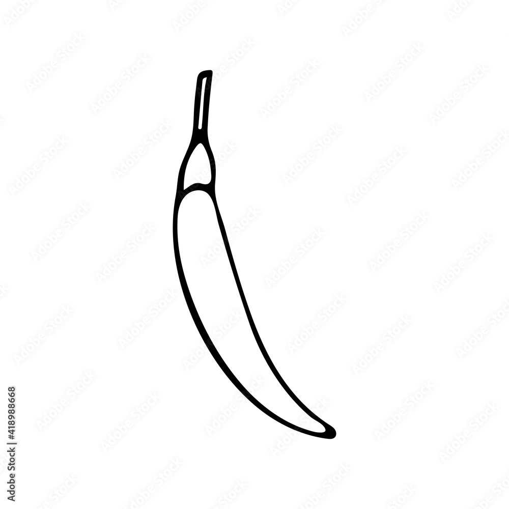 Doodle chilli pepper illustration in vector. Hand drawn chilli pepper ...