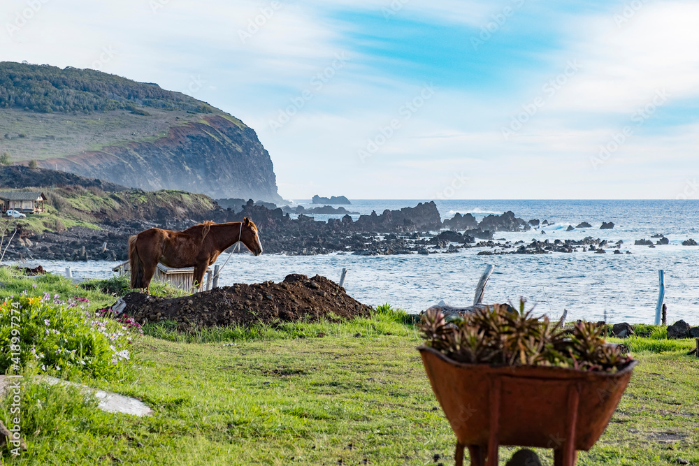 Horse eating on the paradise island of the south pacific easter island ...