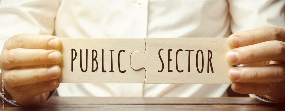 Public Sector Enterprises