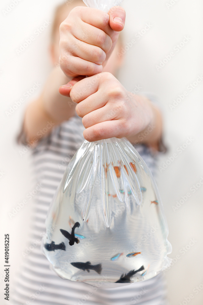 Small fish in a transparent plastic bag in the hands of a child in a ...