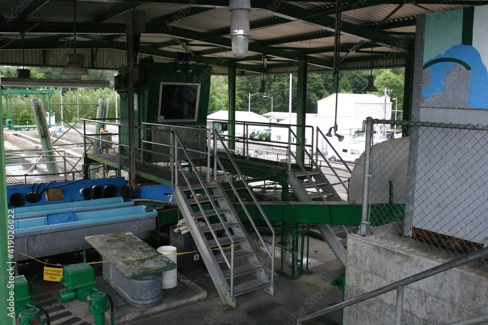 Cowlitz Salmon Fish Hatchery Northern California Looking at the Access ...