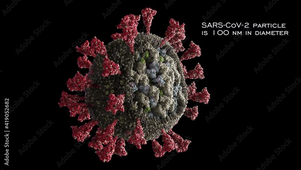 Vidéo Stock Coronavirus virion scientifically accurate 3D model ...