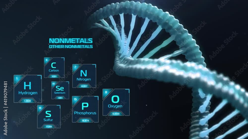 Chemical elements of the periodic table. Classification nonmetals ...