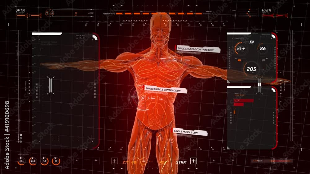Stockvideon Analysis of Human Anatomy Scan on Futuristic Touch Screen ...