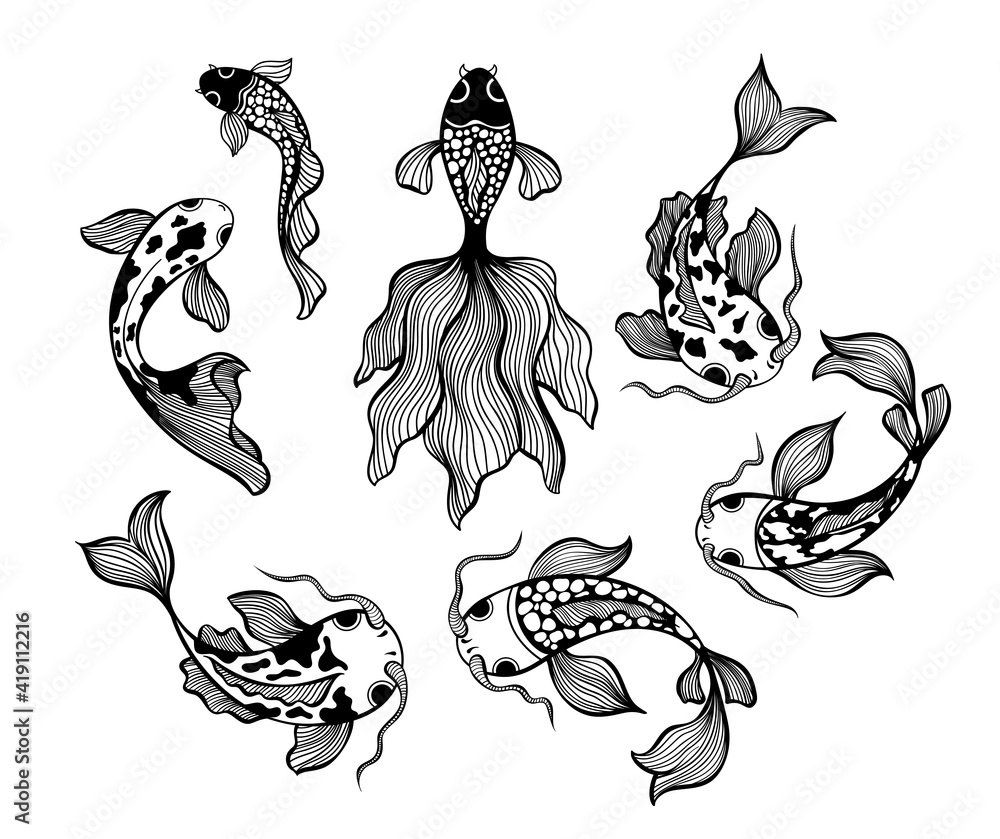 Japanese fish set, carp koi line drawing vector illustrations. Asian ...