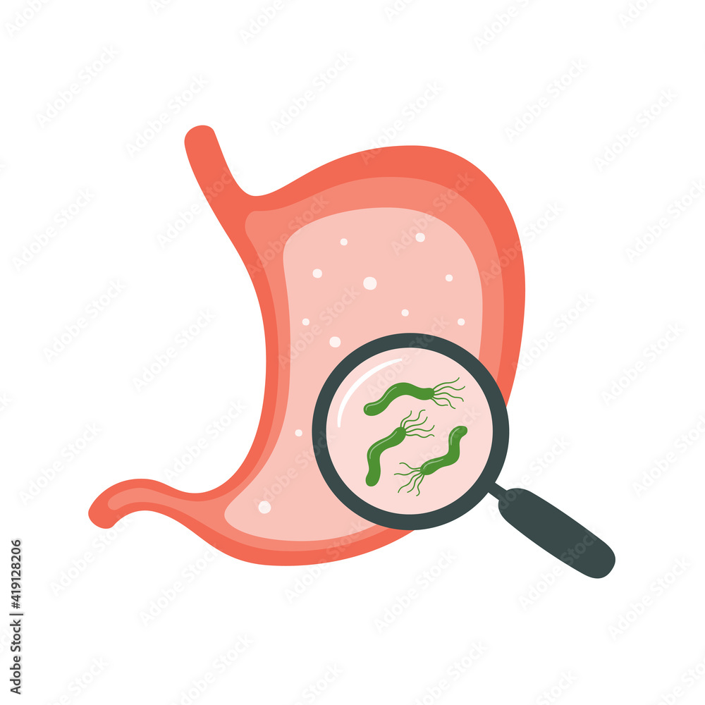 Helicobacter Pylori in the stomach. Stomach diseases. Bacterium with ...