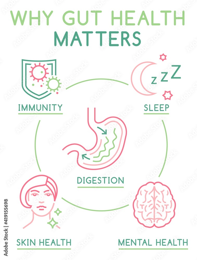 Gut health poster Stock Vector | Adobe Stock