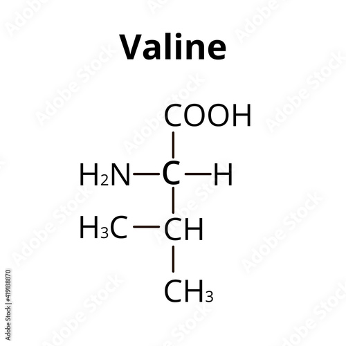 Valine Amino Acid
