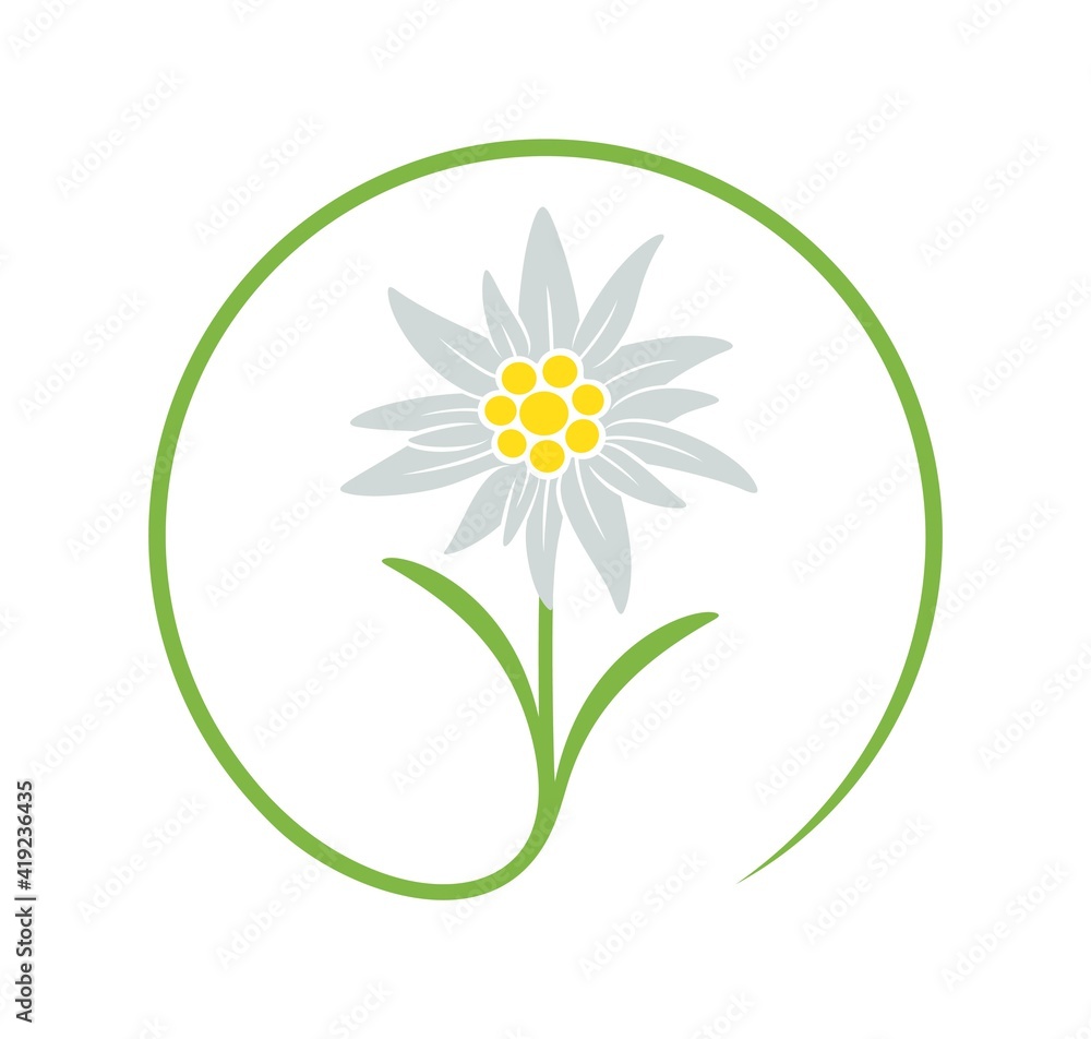 Edelweiss logo. Isolated edelweiss on white background Stock Vector ...