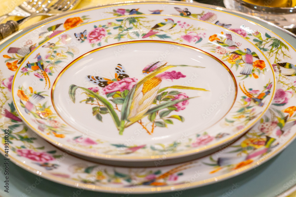 vajilla elegante de porcelana con dibujos naturales Stock Photo | Adobe ...