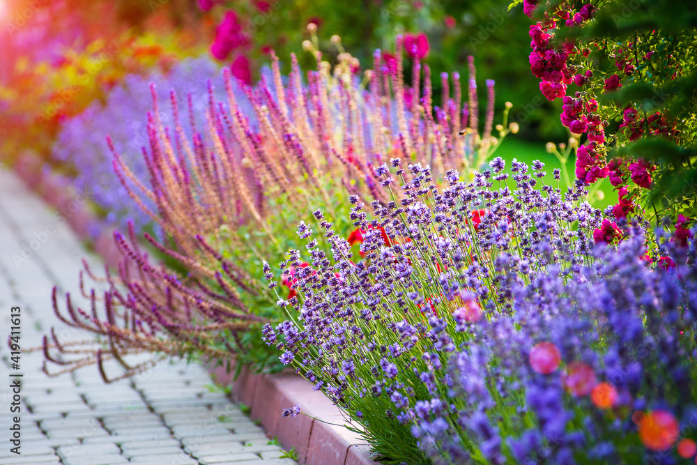 beautiful landscaping with beautiful plants Stock Photo | Adobe Stock