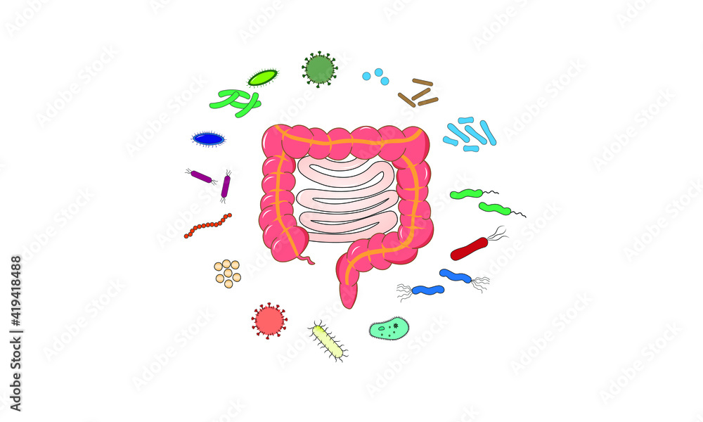Poster Intestinal microbiota [gut microbiome] – Wall Art | UkPosters