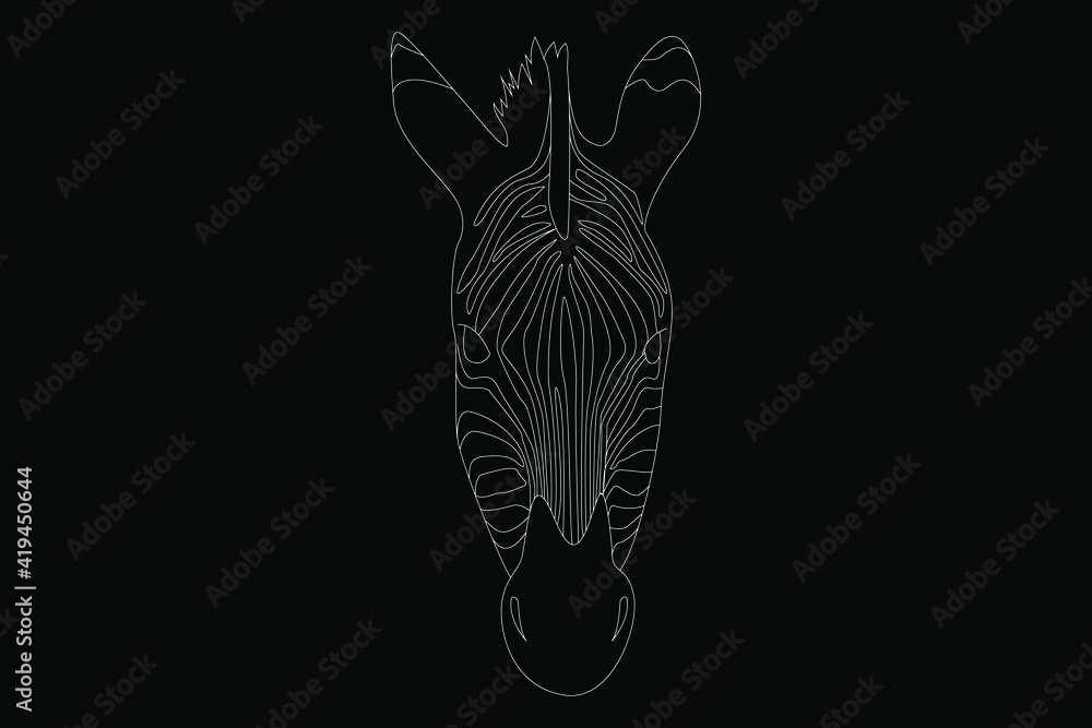 Zebra drawing. Zebra head full face. Simple linear drawing of a zebra ...