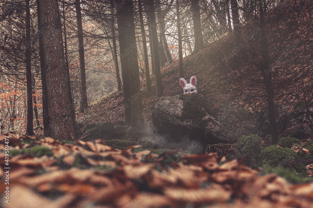 Spooky scenery with a creepy bunny in a forest looking straight into ...