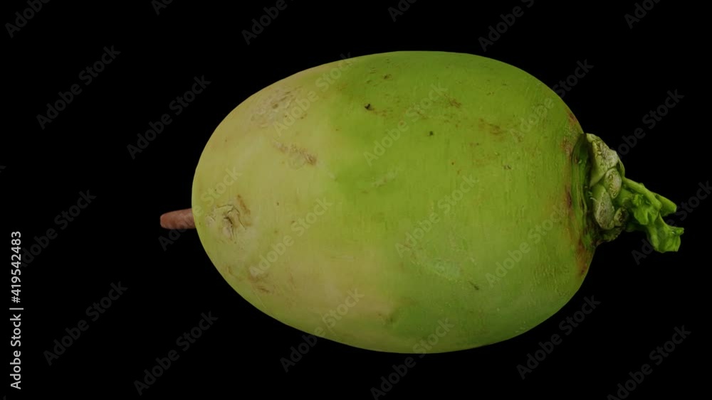 Realistic render of a spinning Watermelon Radish (Roosehearth, Red ...