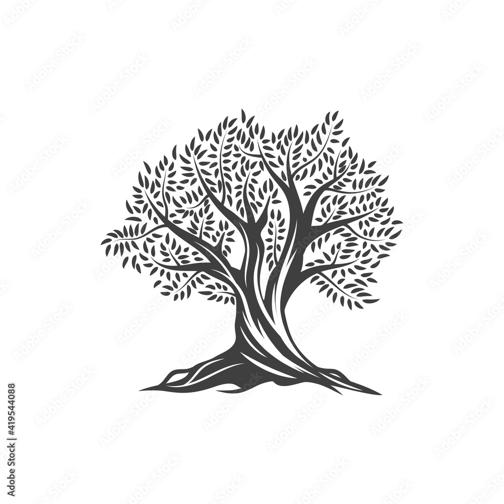 Olive tree icon, olives, leaves and branches in vector flat line. Olive ...