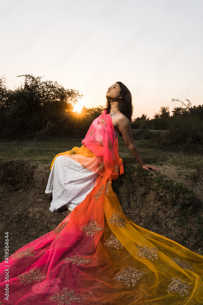 Portrait of beautiful Indian girl wearing Indian traditional dress ...